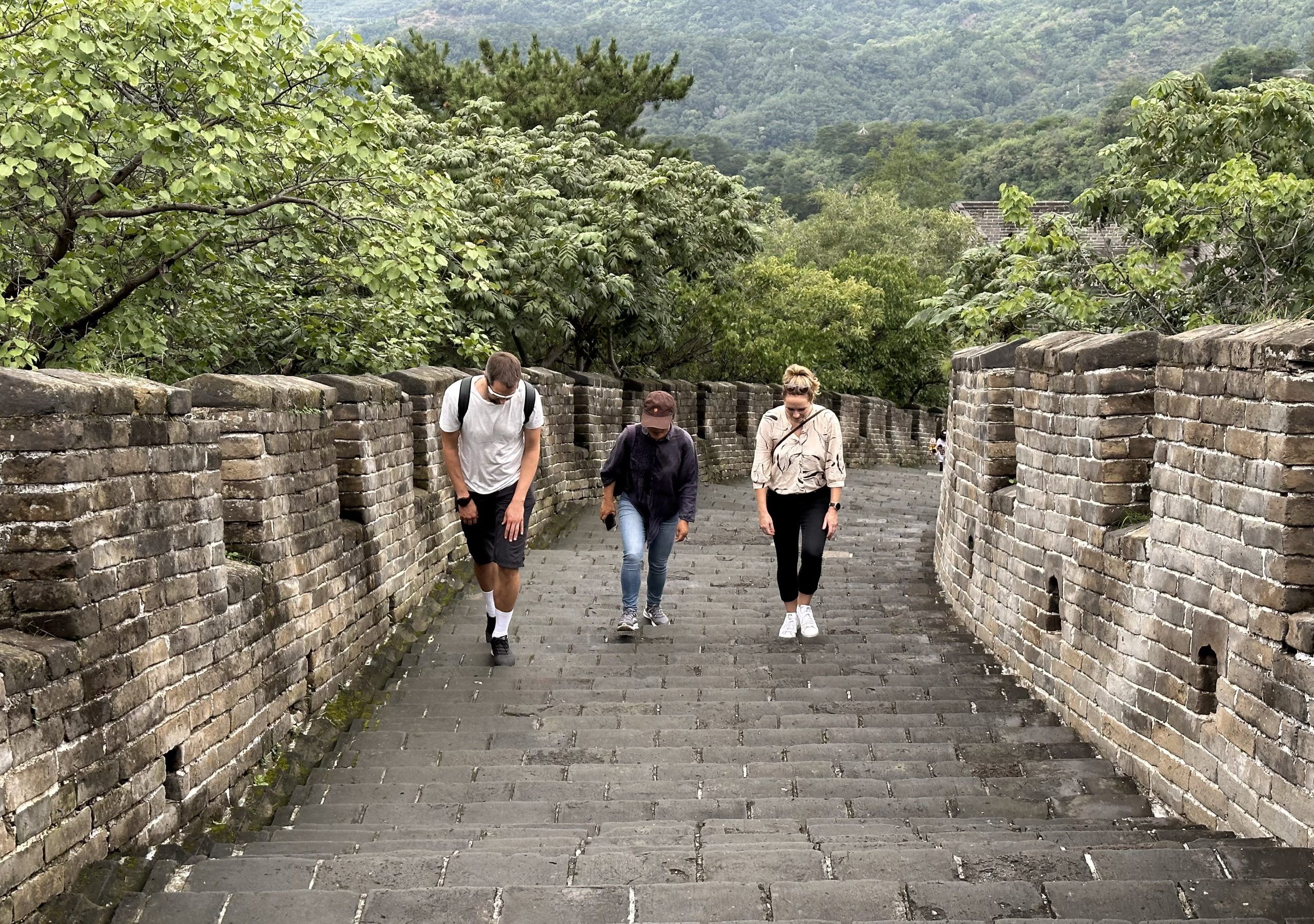 About Us - Discover Beijing Tours