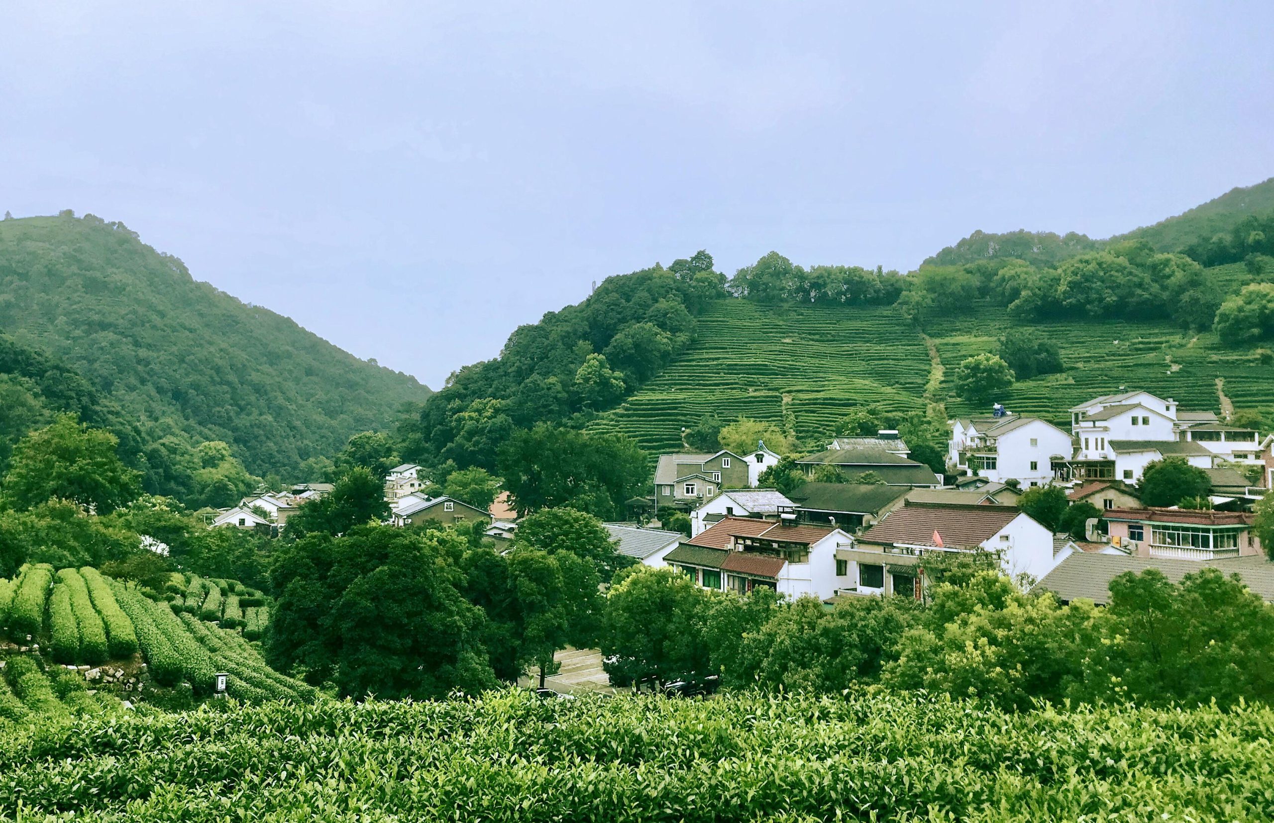 Meijiawu Tea Village - Discover Beijing Tours