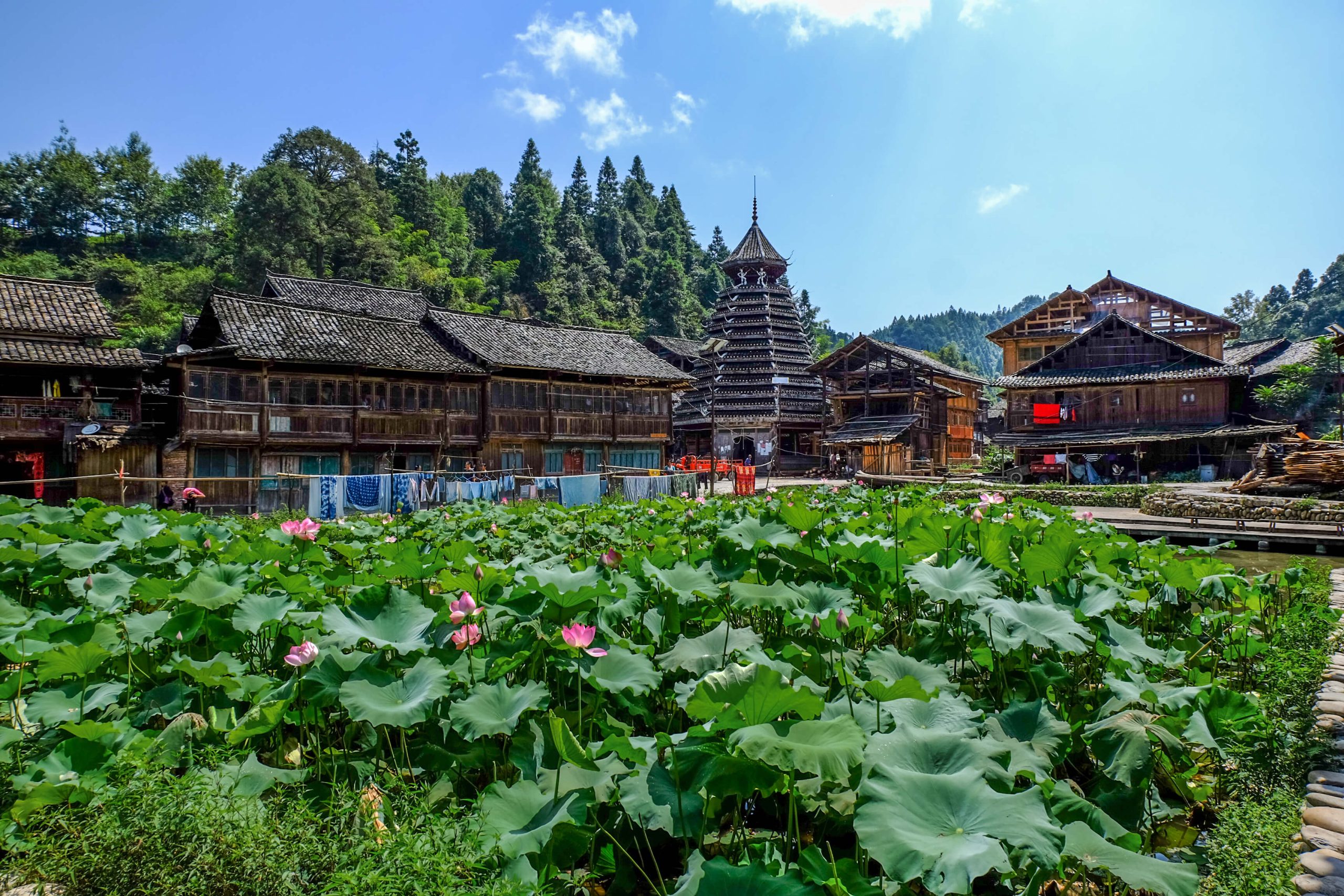 7 Days Best of Guizhou Tour with Nature & Culture Highlights - Discover Beijing Tours